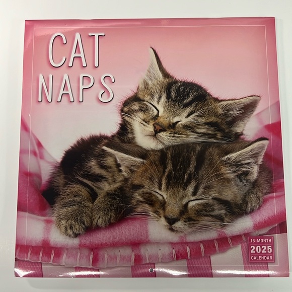 Office | 593 Cat Naps 16 Month 225 Calendar | Poshmark